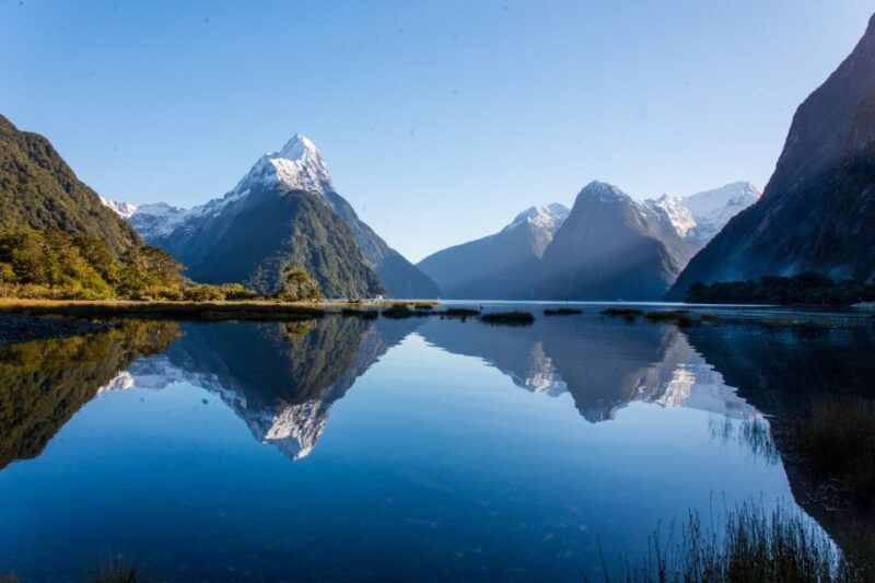 Queenstown: Milford Sound Cruise & Helicopter Alpine Tour - An Overview of the Experience