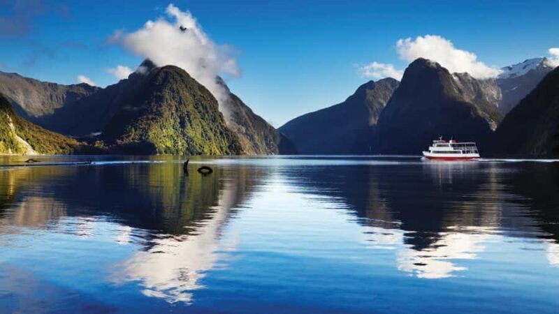 Queenstown: Milford Sound Day Trip - Cruise & Picnic Lunch - Who Is This Tour Best For?
