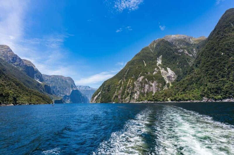 Queenstown: Milford Sound Private Tour - An Honest Look at the Milford Sound Private Tour