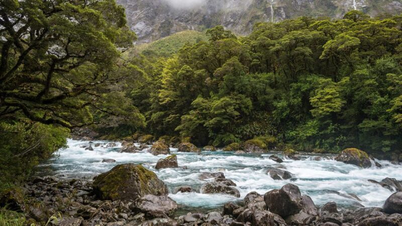 Queenstown: Milford Sound Small-Group Tour w Cruise & Lunch - Authentic Experiences and Overall Value