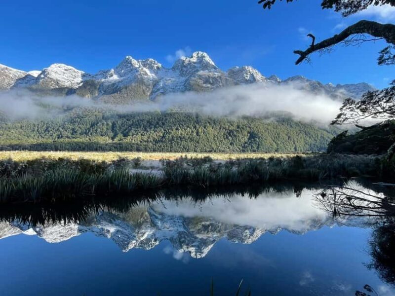 Queenstown: Milford Sound Small-Group Tour w Cruise & Lunch - Who Will Love This Tour?