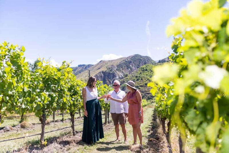 Queenstown: Premium Wine Tasting Tour - Transportation and Comfort