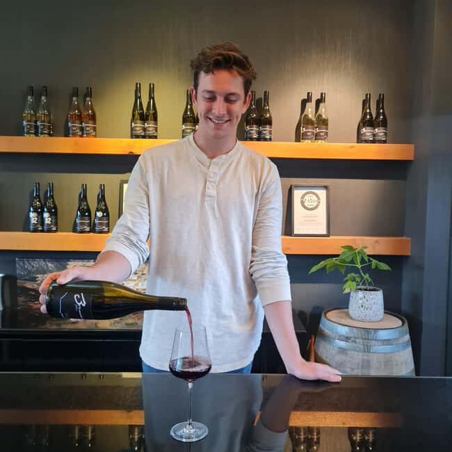 Queenstown: Premium Wine Tasting Tour - The Sum Up
