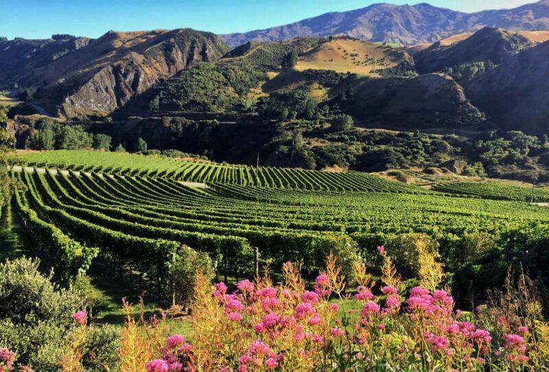 Queenstown: Premium Wine Tasting Tour - FAQs