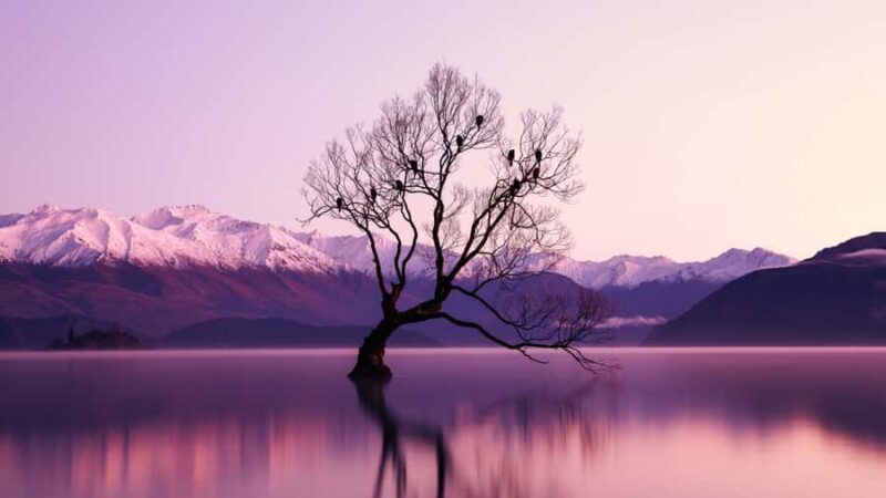 Queenstown: Private 3 Days Trip to Glenorchy Wanaka & Tekapo - Final Thoughts: Who Will Love This Tour?