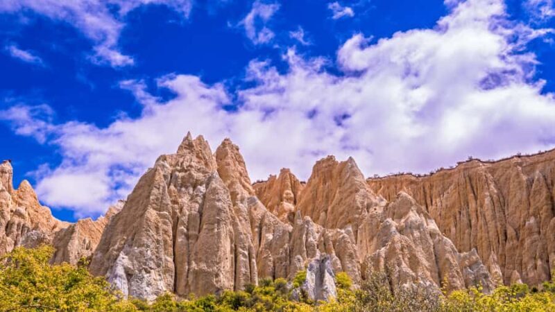 Queenstown: Private Day Trip to Lake Tekapo, Pukaki & More - Key Points