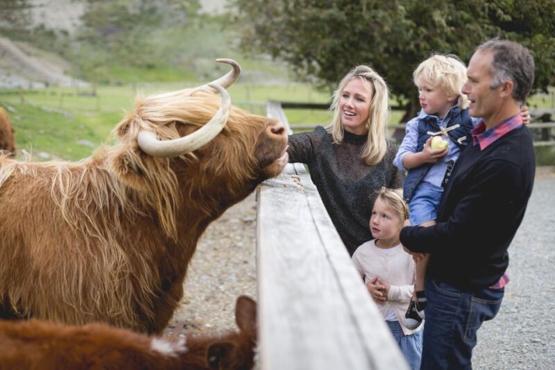 Queenstown: Queenstown Lake Cruise and Walter Peak Farm Tour - What Reviewers Say