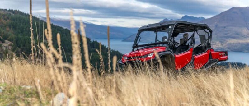 Queenstown: Ride Along Buggy Tour - Who Will Love This Tour?