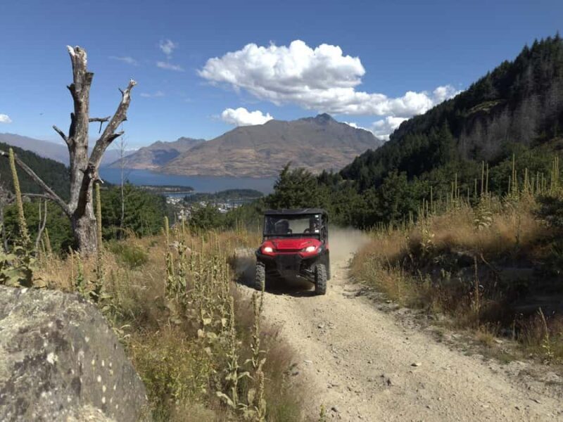 Queenstown: Ride Along Buggy Tour - FAQ