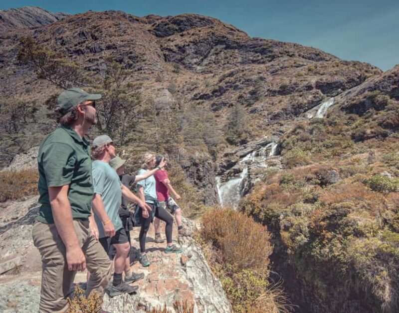 Queenstown: Routeburn Track Guided Full-Day Walk or Half Day - An In-Depth Look at the Experience