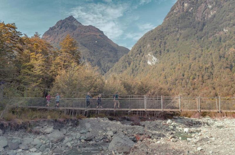 Queenstown: Routeburn Track Guided Full-Day Walk or Half Day - Authenticity and Value