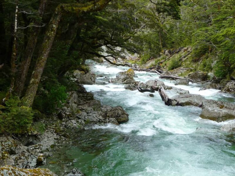 Queenstown: Routeburn Track Guided Full-Day Walk or Half Day - The Sum Up