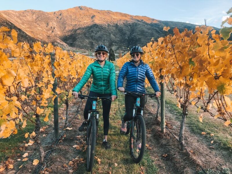 Queenstown: Self-Guided Bike Ride on the Arrow Bridges Trail - Pricing and Value