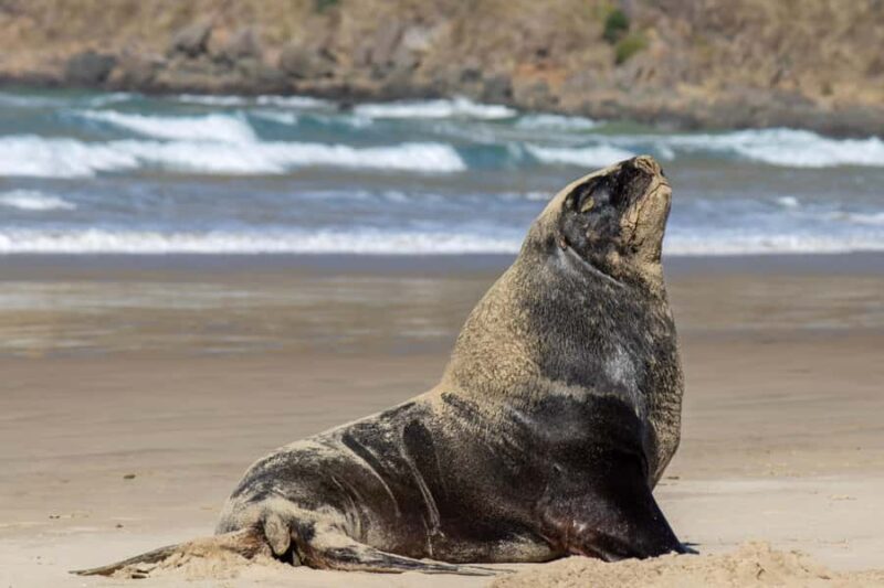 Queenstown: Southern Highlights 3 Days & 2 Nights - Key Points