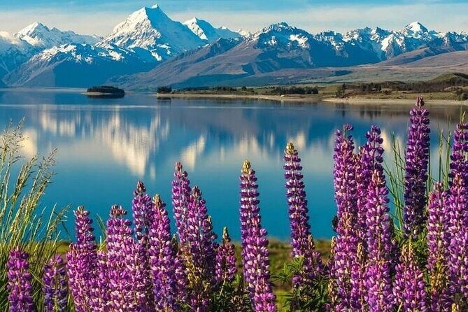 Queenstown to Christchurch One Way Tour Via Lake Tekapo & Mt Cook - Who Would Love This Tour?
