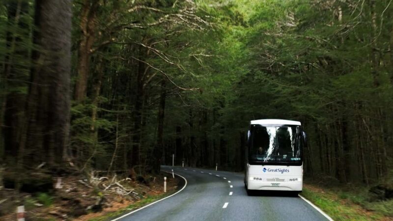 Queenstown to Franz Josef Day Tour - Introduction