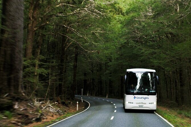 Queenstown to Franz Josef Day Tour - Final Thoughts: Who Is This Tour Perfect For?