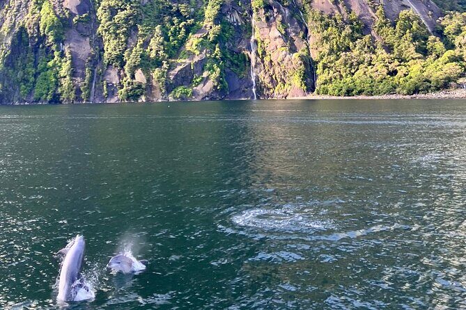 Queenstown to Te Anau via Milford Sound inc Cruise & Lunch - Milford Sound Cruise: The Big Highlight