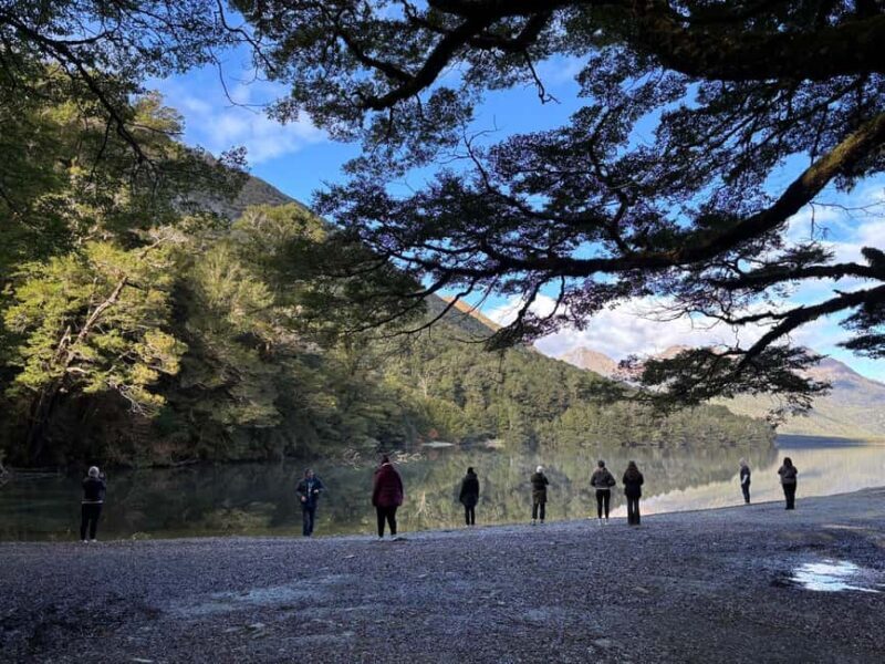 Queenstown to Te Anau via Milford Sound inc Cruise & Lunch - Key Points