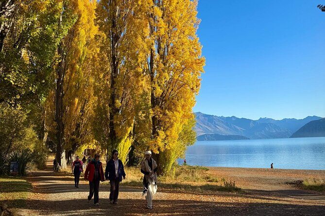 Queenstown to Wanaka One Way Small Group Tour - A Deep Dive Into the Experience