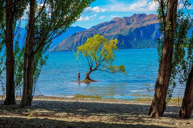 Queenstown to Wanaka One Way Small Group Tour - Authenticity and Traveler Feedback