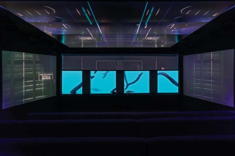 Queenstown: Underwater Theatre Experience Entry Ticket - Key Points