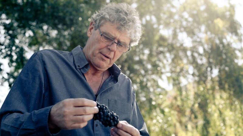 Queenstown: Valli Wine Tasting Experience - The Sum Up