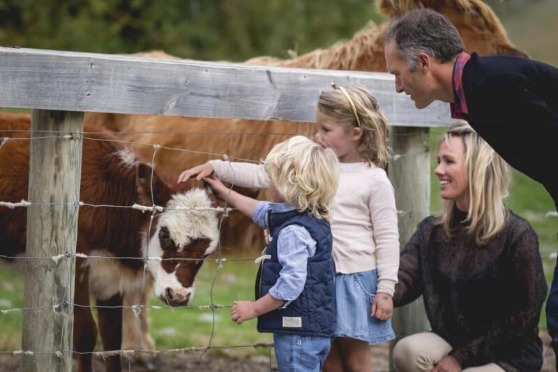Queenstown: Walter Peak Farm Tour and Lake Cruise - Practical Aspects and Logistics