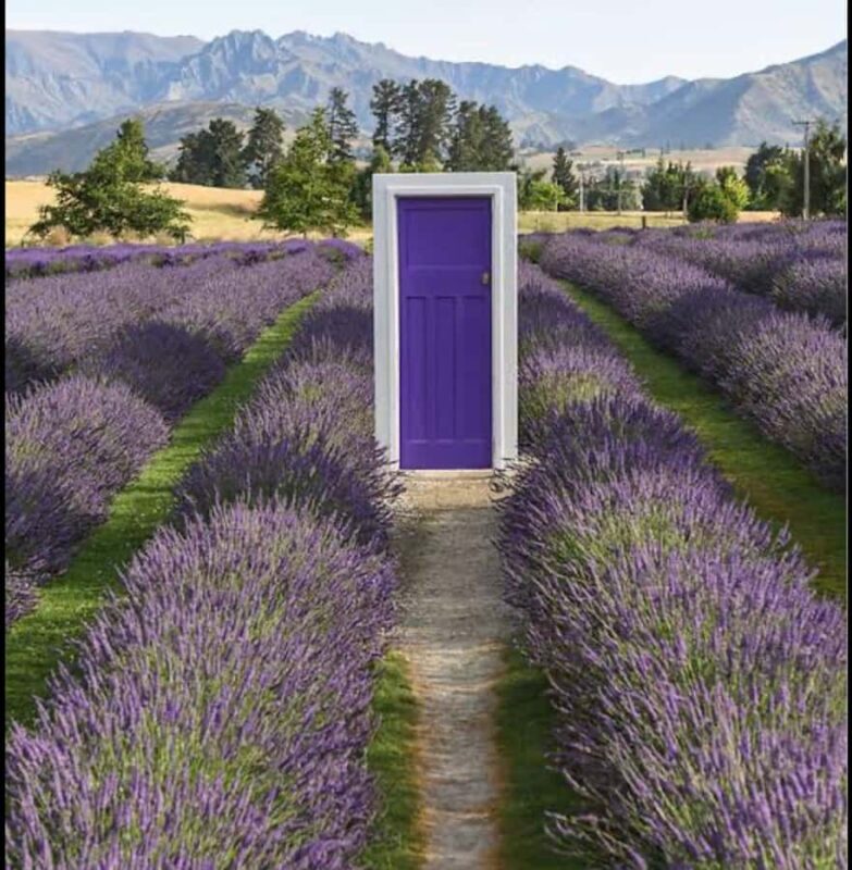 Queenstown: Wanaka & Arrowtown Guided Private Day Tour - An Introduction to the Queenstown, Wanaka & Arrowtown Tour Experience