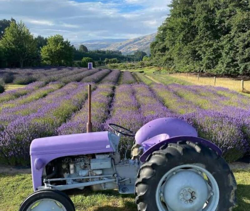 Queenstown: Wanaka & Arrowtown Guided Private Day Tour - Transport, Timing & Group Size