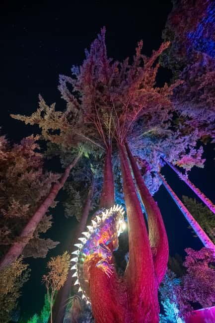 Queenstown: Whimsical Sensory Night Walk at LUMA Enchanted - Breaking Down the Value