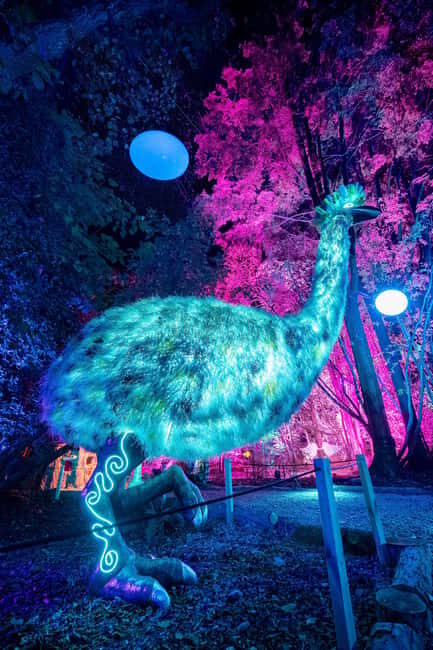Queenstown: Whimsical Sensory Night Walk at LUMA Enchanted - Who Should Consider This Experience?