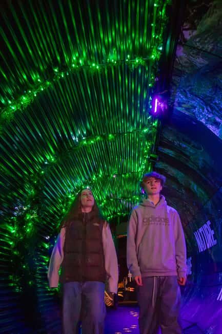 Queenstown: Whimsical Sensory Night Walk at LUMA Enchanted - FAQs About LUMA Enchanted in Queenstown