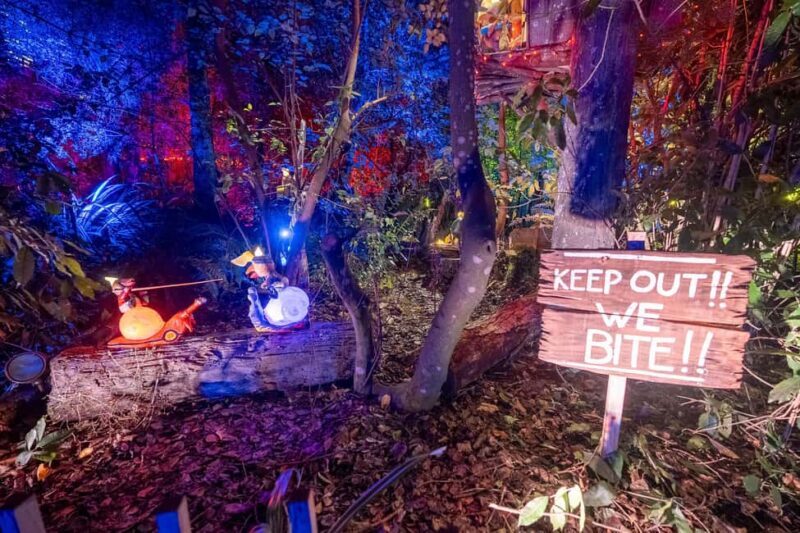Queenstown: Whimsical Sensory Night Walk at LUMA Enchanted - Final Thoughts