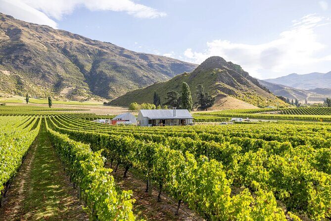 Queenstown Wine & Food Tour: Scenery, Tastings & Delicious Lunch! - FAQ – Practical Answers