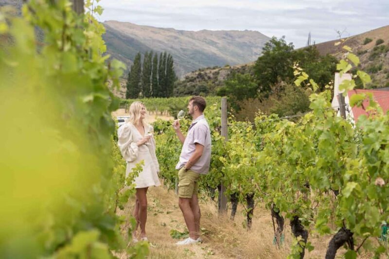 Queenstown: Wine & Food Tour, Scenic Tastings & Paired Lunch - Final Thoughts