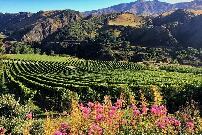 Queenstown Wine Tour - Final Thoughts