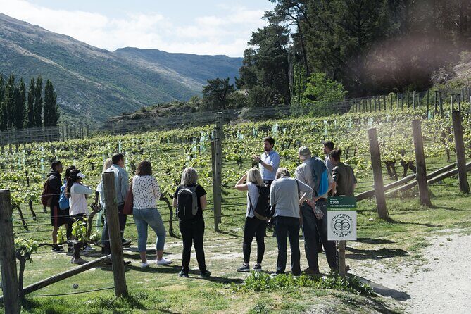 Queenstown Wine Tour with Wine Dog | Adults Only - A Deep Dive into the Queenstown Wine Tour Experience