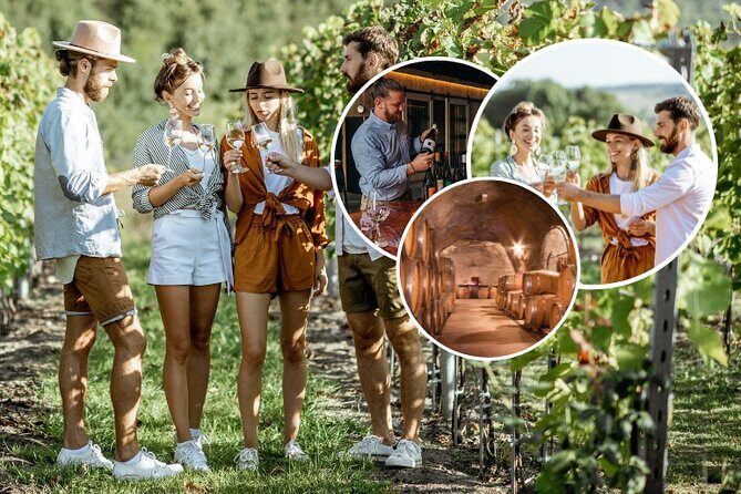 Queenstown Wine Tour with Wine Dog | Adults Only - What Makes This Tour Stand Out