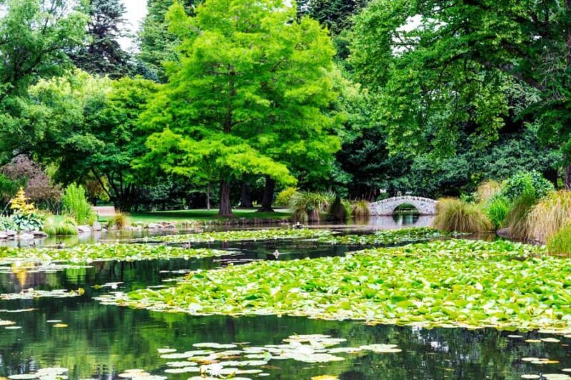 Queenstown Winter Private Walk: Enchanted Holiday Magic - Key Points