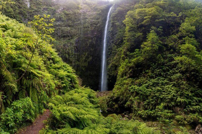 Queimadas Caldeirão Verde Madeira Island Walk - The Sum Up
