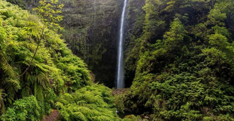 Queimadas Caldeirão Verde Madeira Island Walk - FAQs