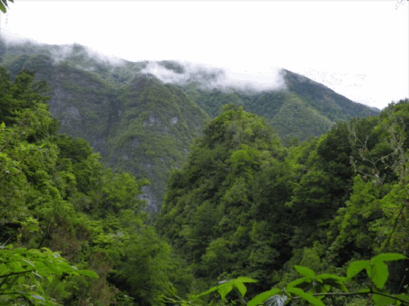 Queimadas Caldeirão Verde Walking tour with guide - Key Points: