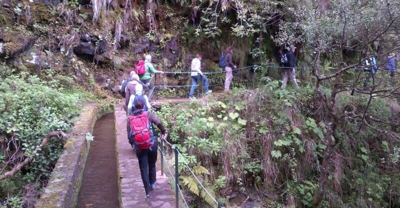 Queimadas Natural Park 5-Hour Guided Hike - Who Will Love This Tour