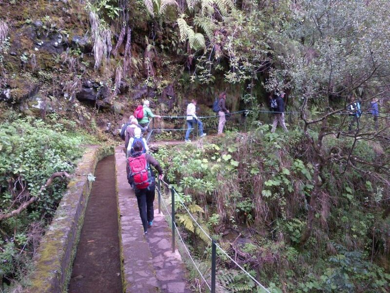 Queimadas Natural Park 5-Hour Guided Hike - Final Thoughts
