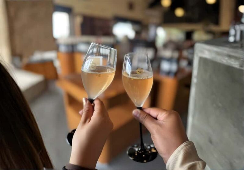 Queretaro: Cheese & Wine Tour (English) - A Full Breakdown of the Day