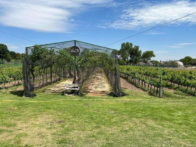 Querétaro: Cheese & Wine Tour In A Day - The Starting Point: Museo Regional de Querétaro