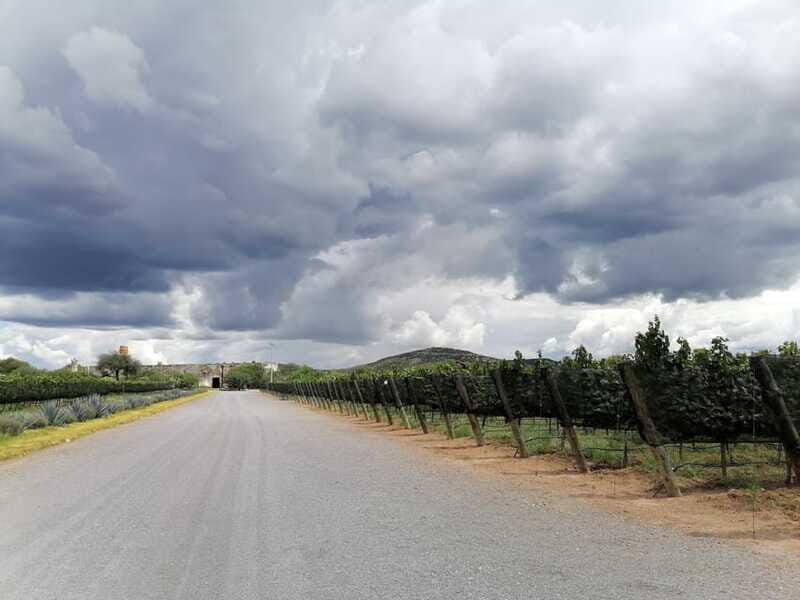 Querétaro: Hacienda Atongo Experience Tour - Practical Tips for Visitors