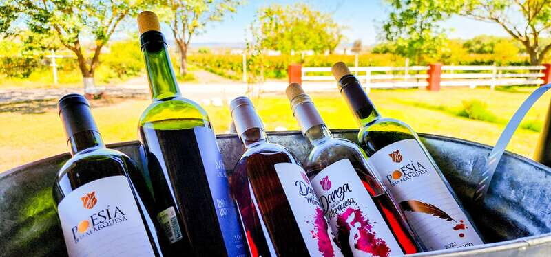 Querétaro: Haciendas, Vineyards, and Magical Towns Day Trip - Final Word