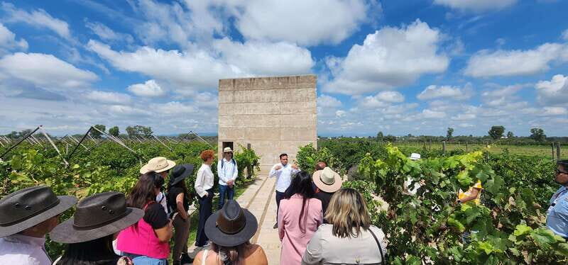 Querétaro: Independence Valley - Guanajuato Wine Tour - What Travelers Say